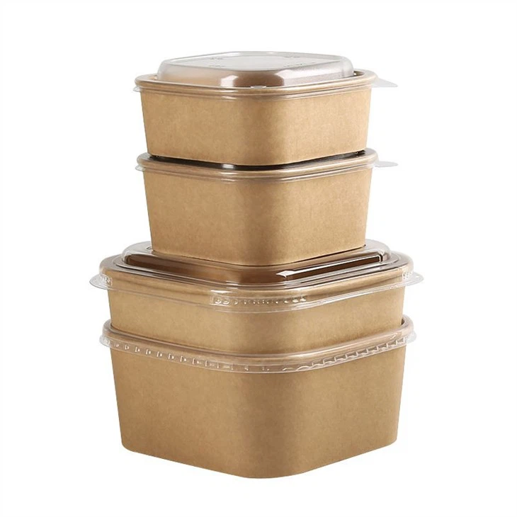 China Disposable Square Kraft Food Box With PET Lids Suppliers ...